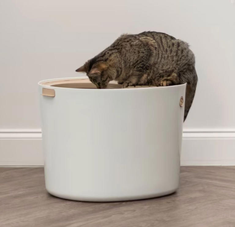 If your cat tracks litter mess all over the house, you need these 8 ...