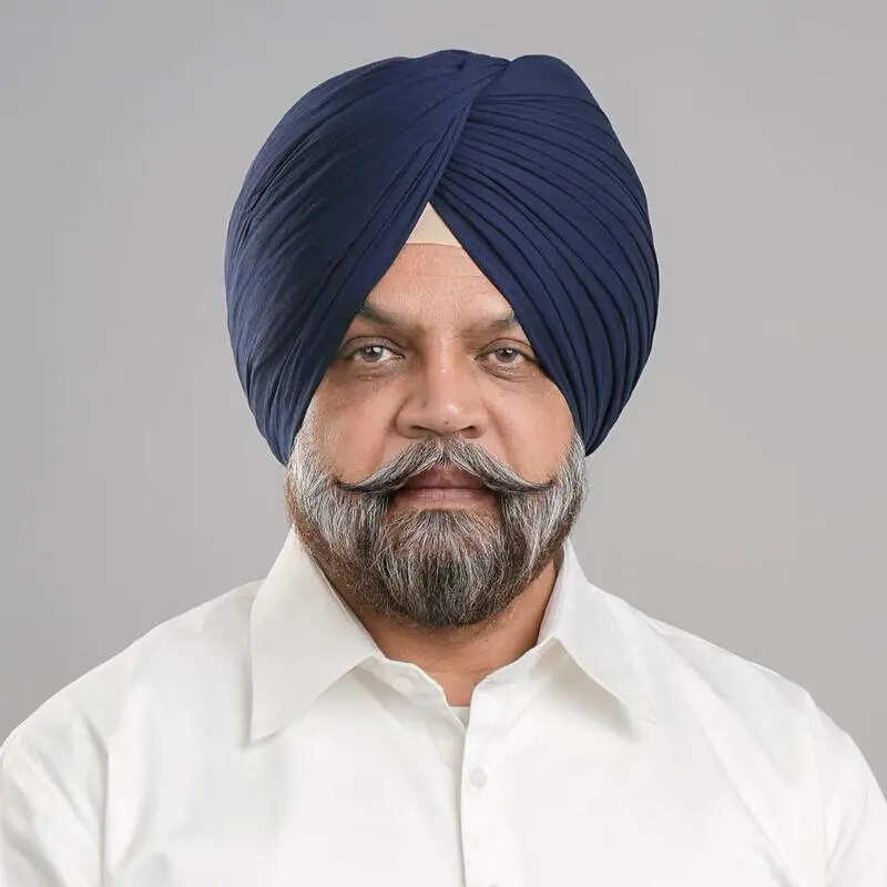 Shiromani Akali Dal (Punar Surjit) hits back at Ayali, says he derailed ...