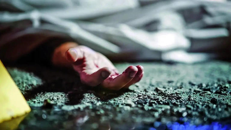 Bengaluru horror: Man killed, body dumped in pit
