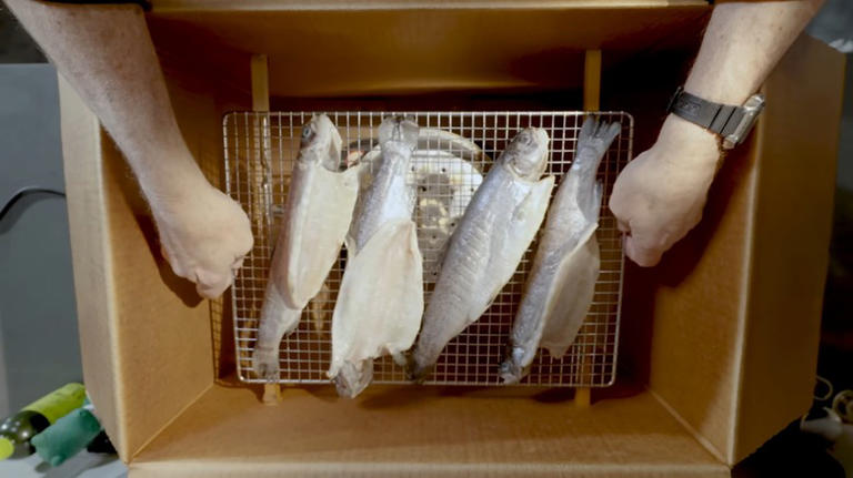 It's easier than you think to make your own DIY smoker (thanks, Alton ...