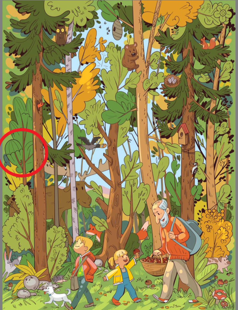 Brain teaser for sharp minds: Find the hidden umbrella before time runs out