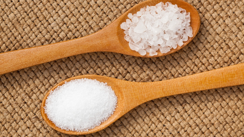 The 12 most interesting salt facts