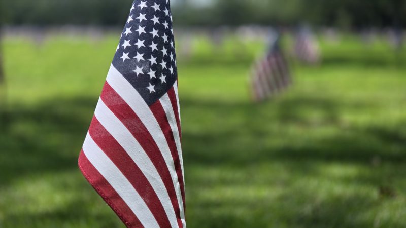 Hundreds come to pay their respect for fallen heroes at Bay Pines ...