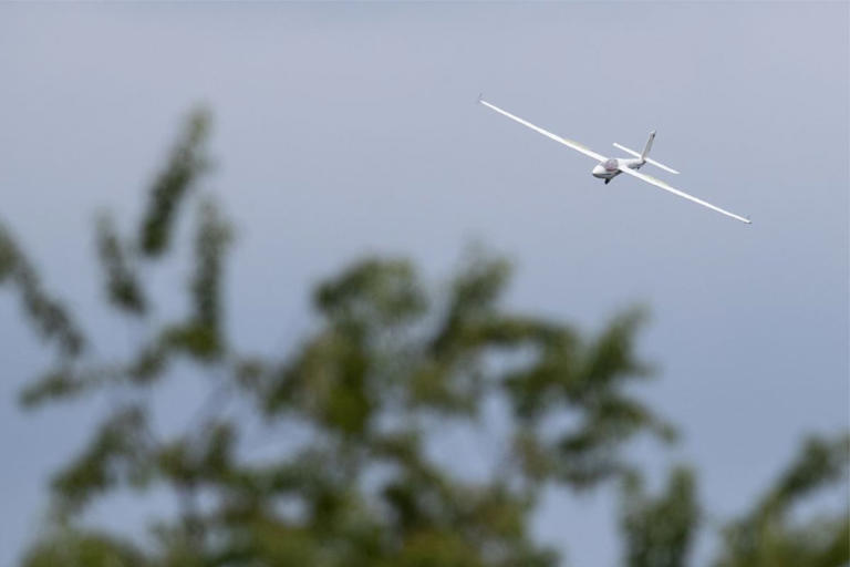 Notlandung in Heidelberg: Segelflieger geht über Biotop nieder
