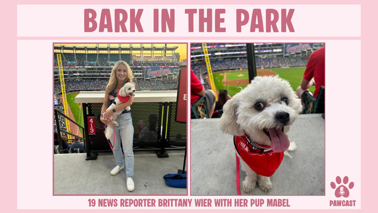 Bark in the park: Take your dog out to the Cleveland Guardians game