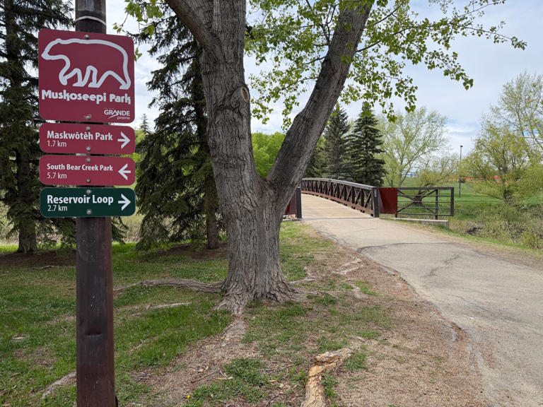 RCMP patrols increase near Grande Prairie park trails following random ...