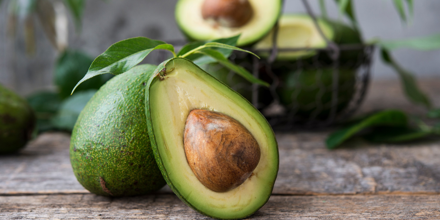 What happens to your brain when you eat an avocado every day for six ...