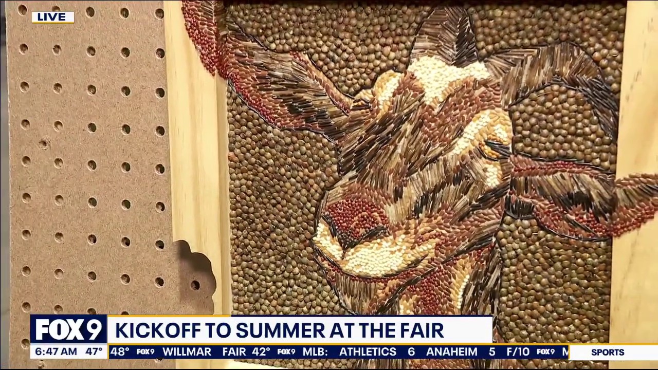 A slice of the Minnesota State Fair