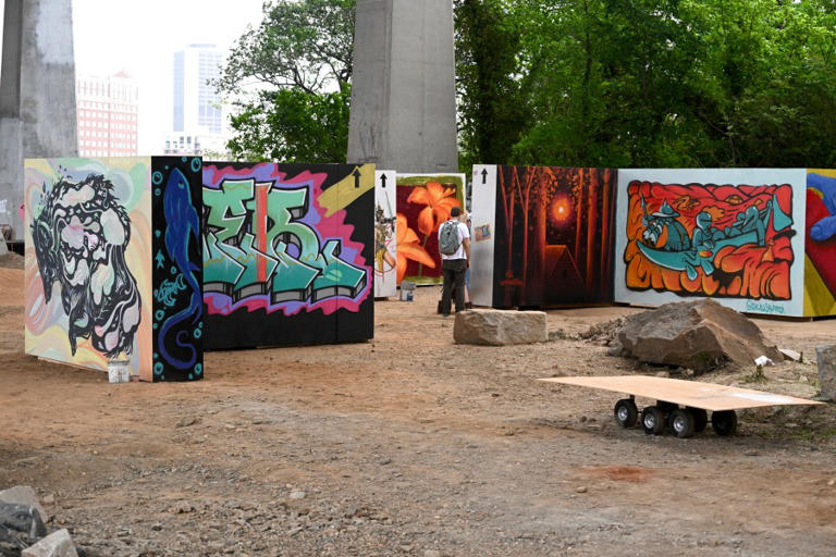 Non-profit proposes vision for Richmond’s first public art park