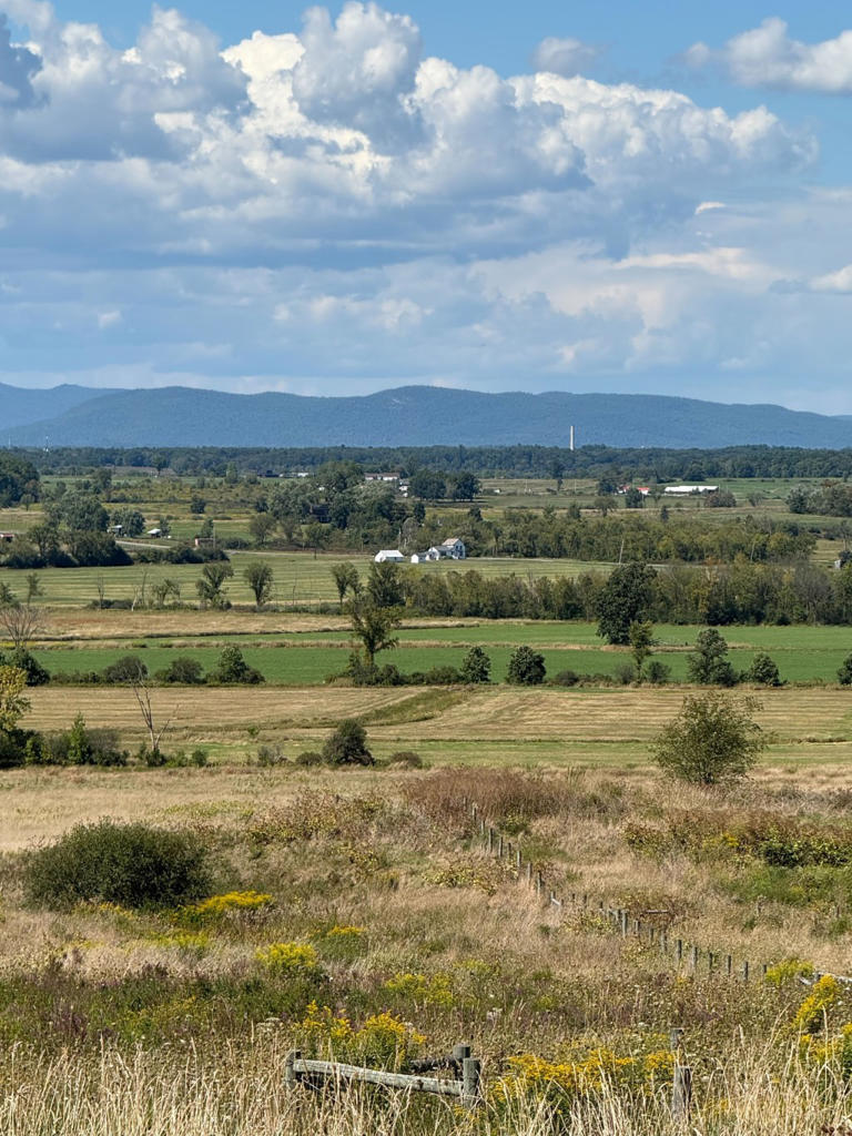Resistance grows against New York’s 18 planned solar farms that locals ...