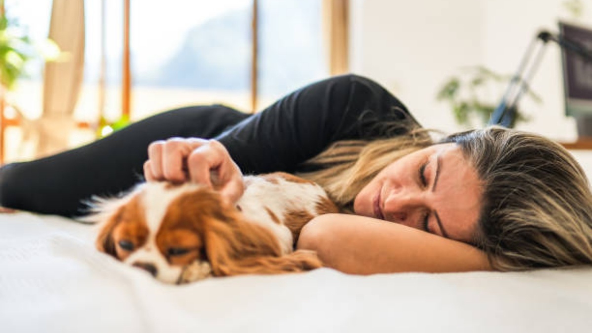 8 habits dogs only develop with people they love deeply