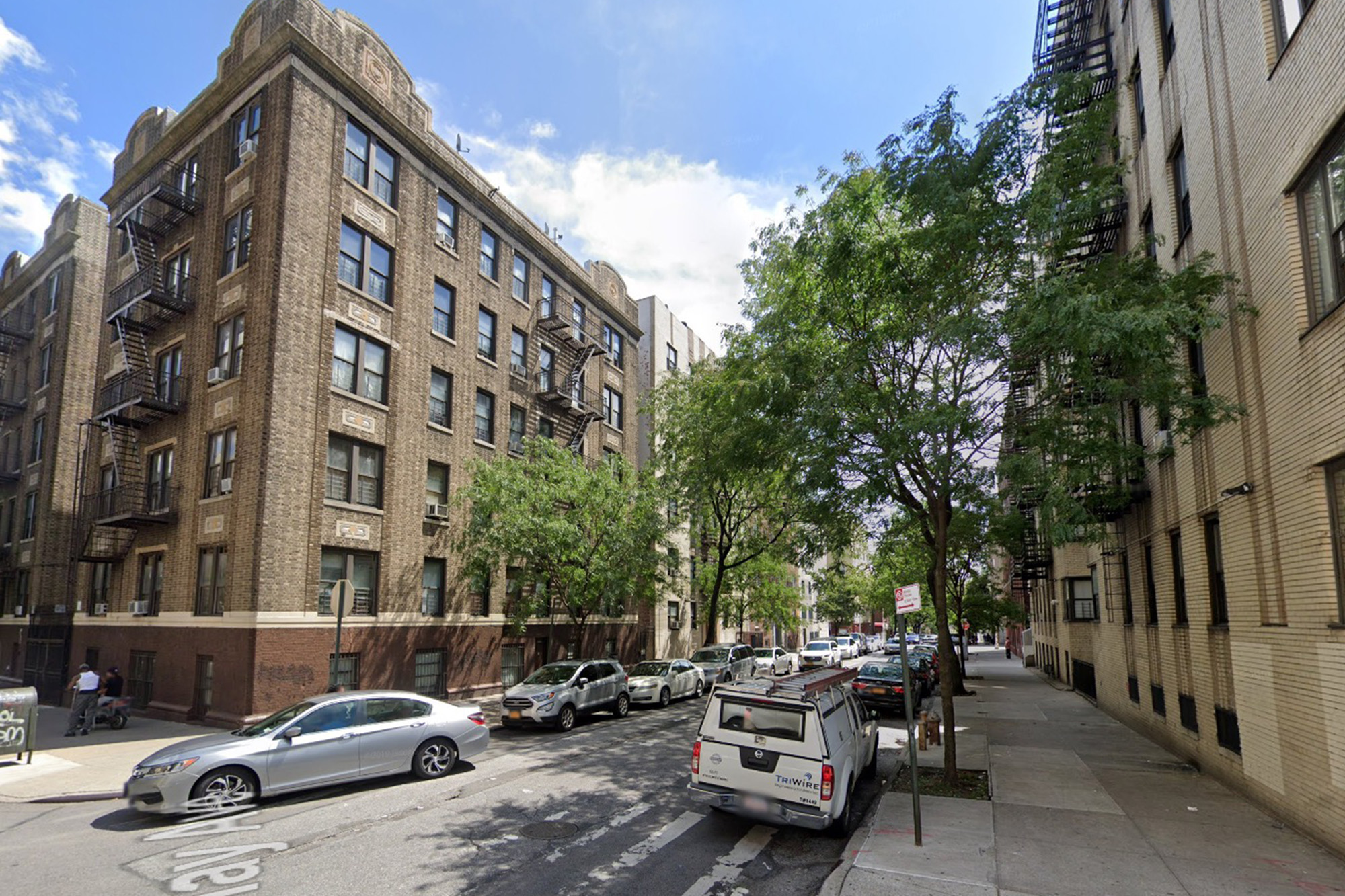 Tree falls on woman, crushes multiple cars in NYC during Memorial Day ...