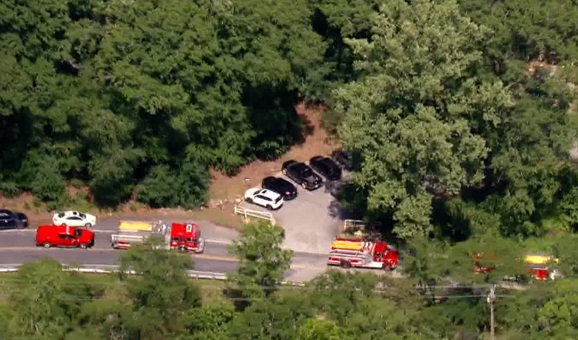 2 people struck by tree at Upstate park, rescuers say