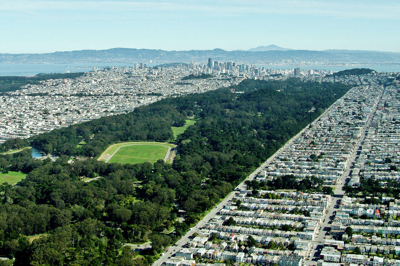 Rare photos captured of elusive animal found only in Golden Gate Park