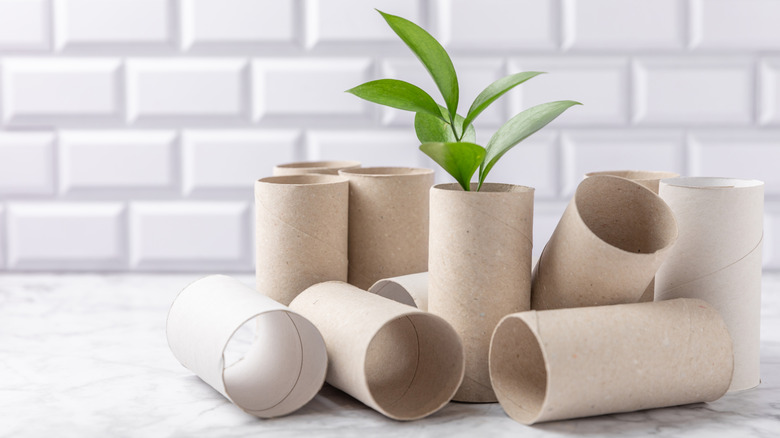 Don't throw out toilet paper tubes – here's a laundry hack to reuse them