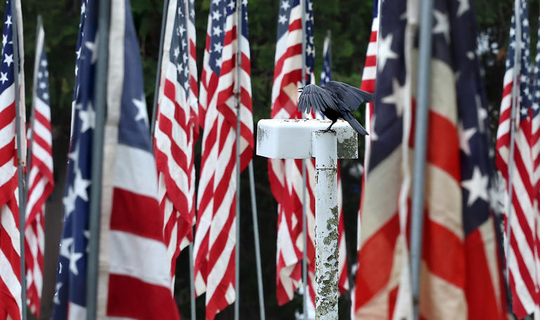 Photo | Avenue of the Flags honors Memorial Day in Santa Cruz