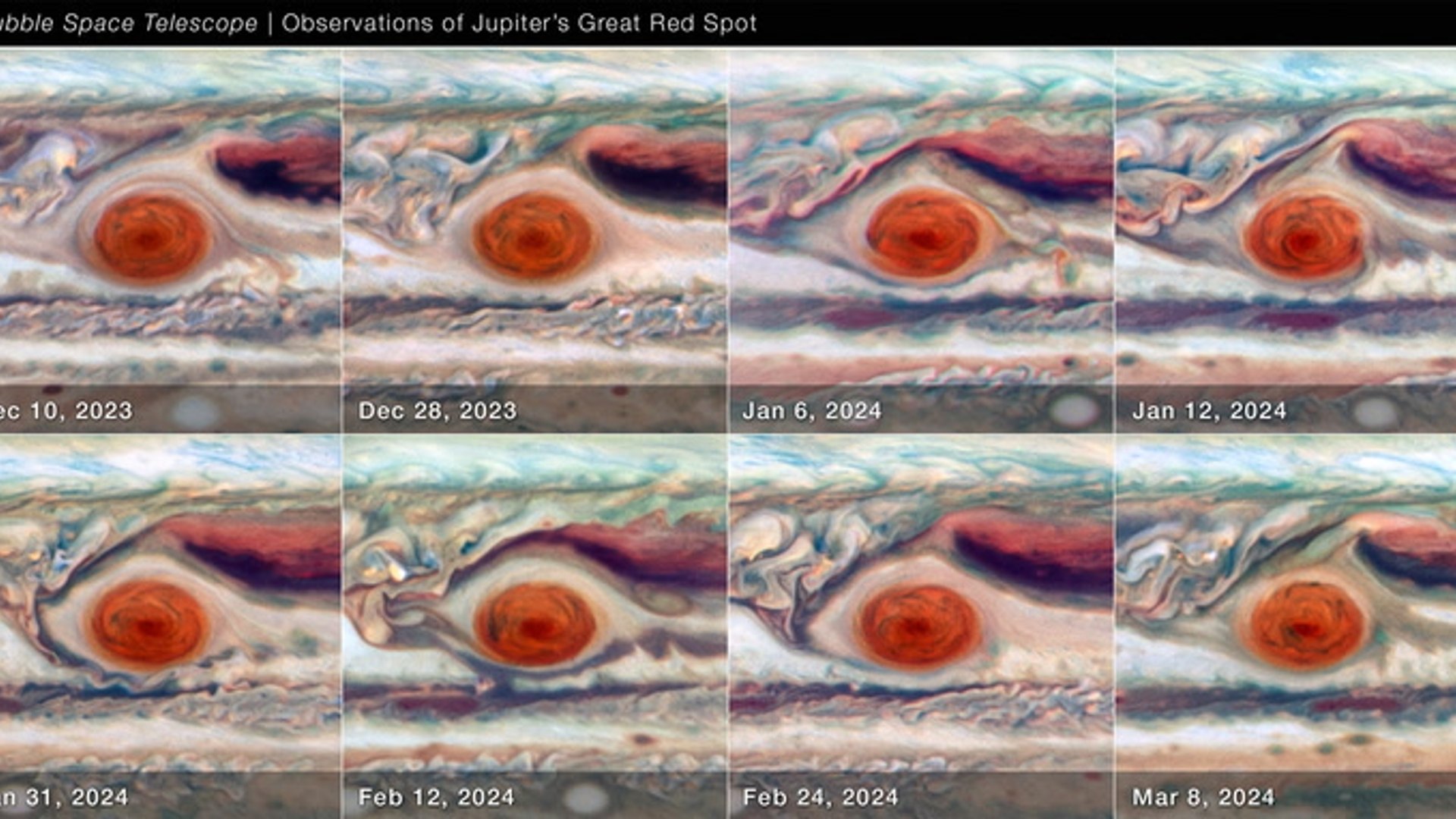 See Hubble's views of Jupiter and its Great Red Spot over time