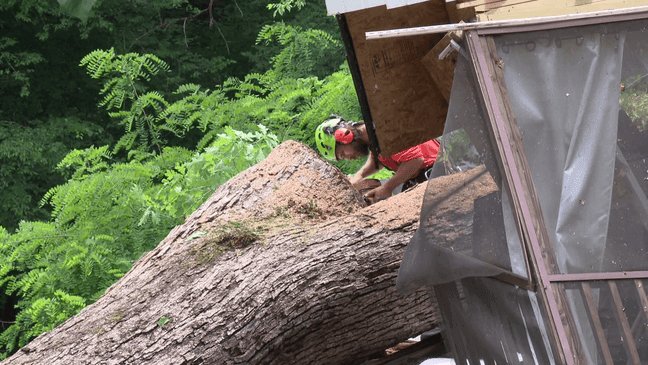 Hixson family rebuilding after weekend storm: Saturated ground ...