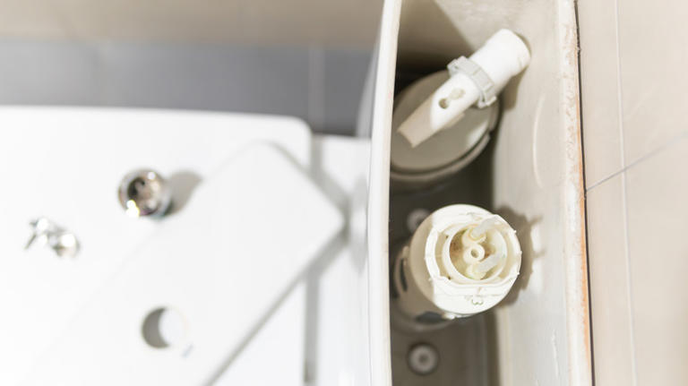 Why do some people put fabric softener in their toilet tank (and is it ...