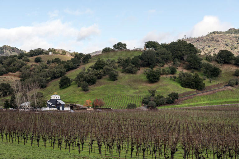 Napa Valley nightmare as experts warn wineries could run dry ...