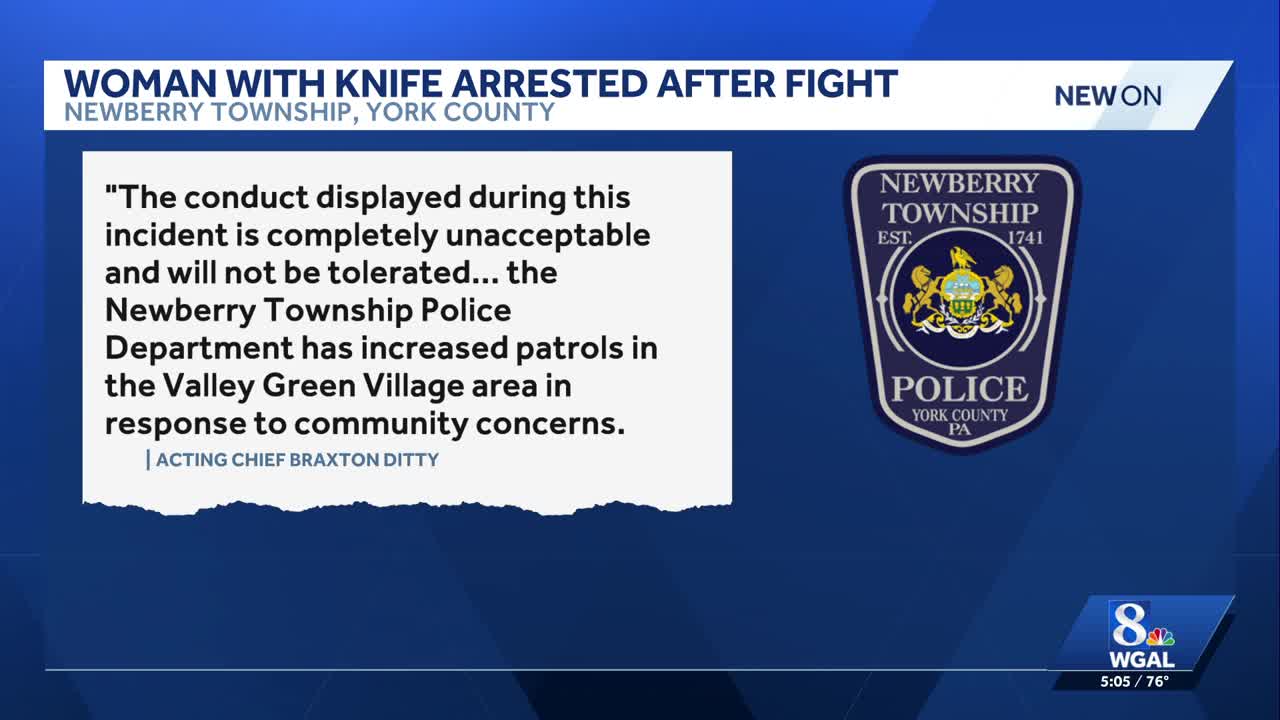 Woman accused of carrying a knife after police break up large fight at ...