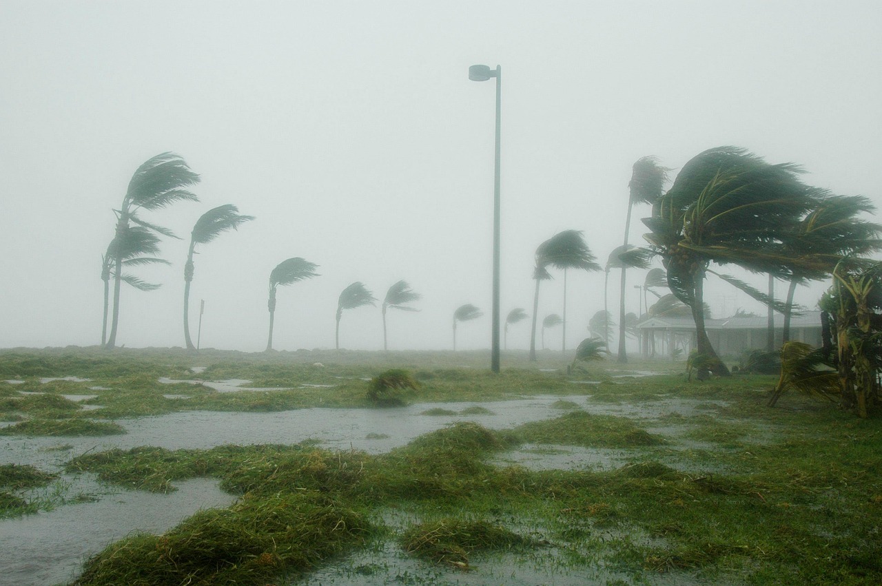 How to prepare for the unexpected this season and protect your ...