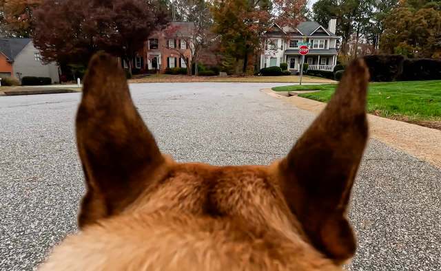 Georgia HOA feud spirals from online insults into formal ethics complaints