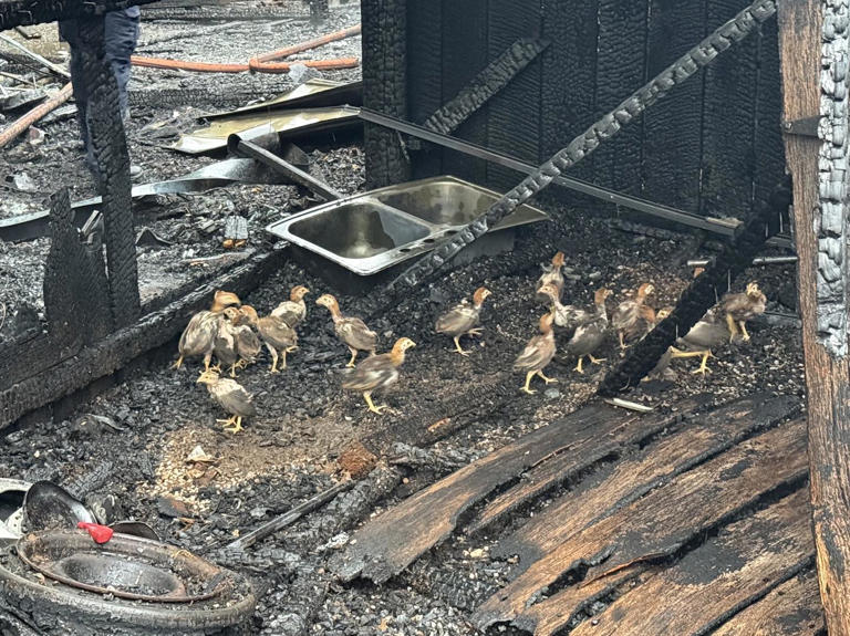 Crews contain barn fire in Murfreesboro