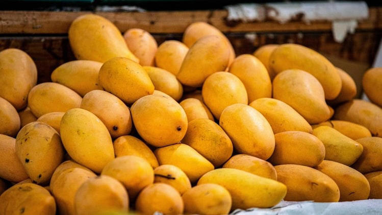 Flying off the shelves: Why Indian mangoes are taking over global markets