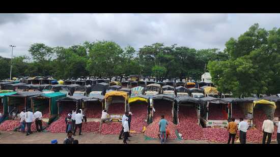 Centre hikes onion procurement price ahead of MVA rally over farmers ...