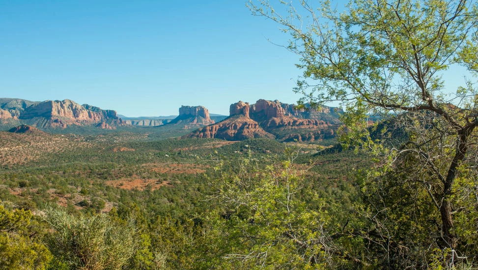 Cathedral Rock vandalism video sparks global debate on tourist conduct