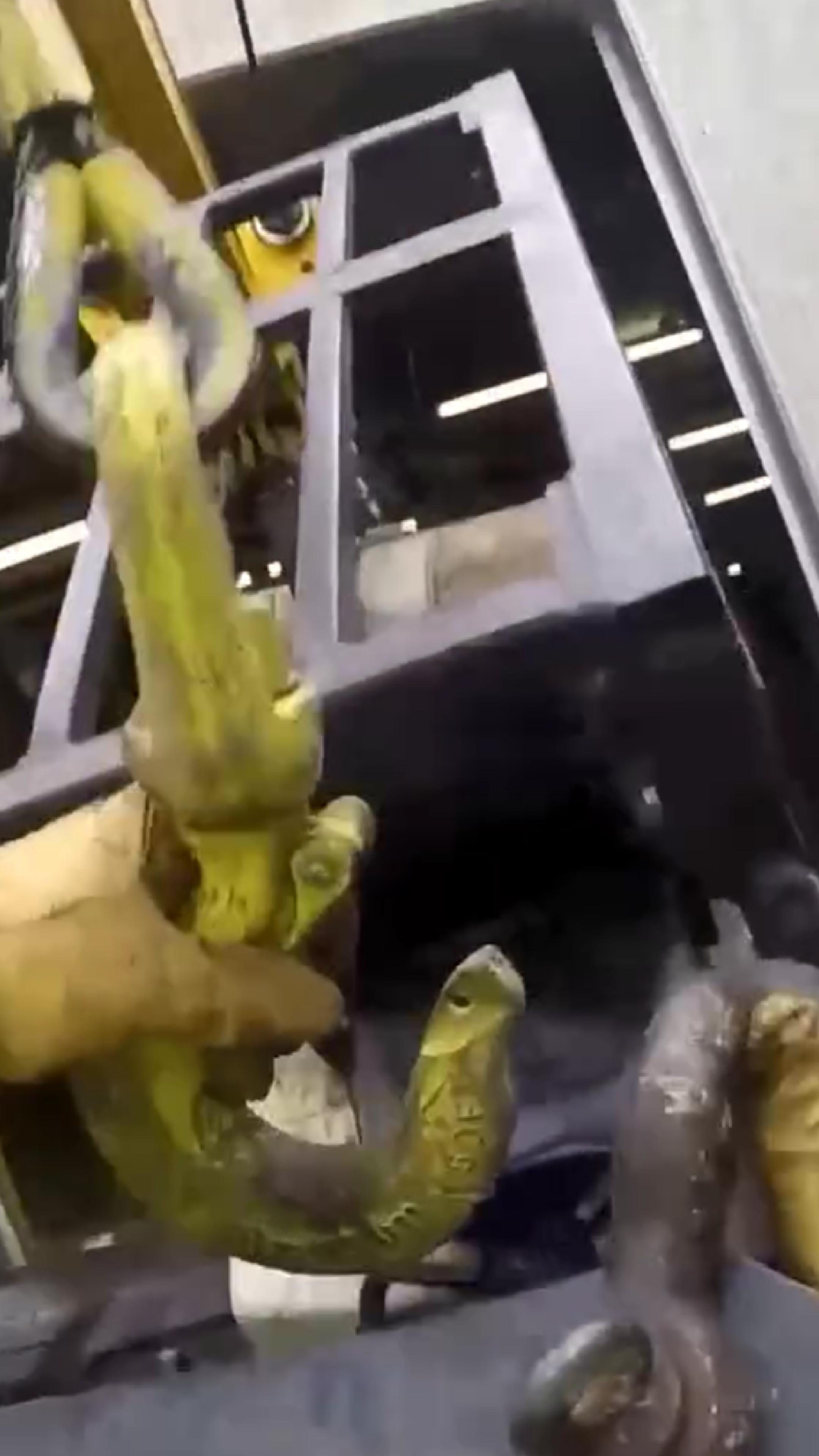 Forklift recovery from water