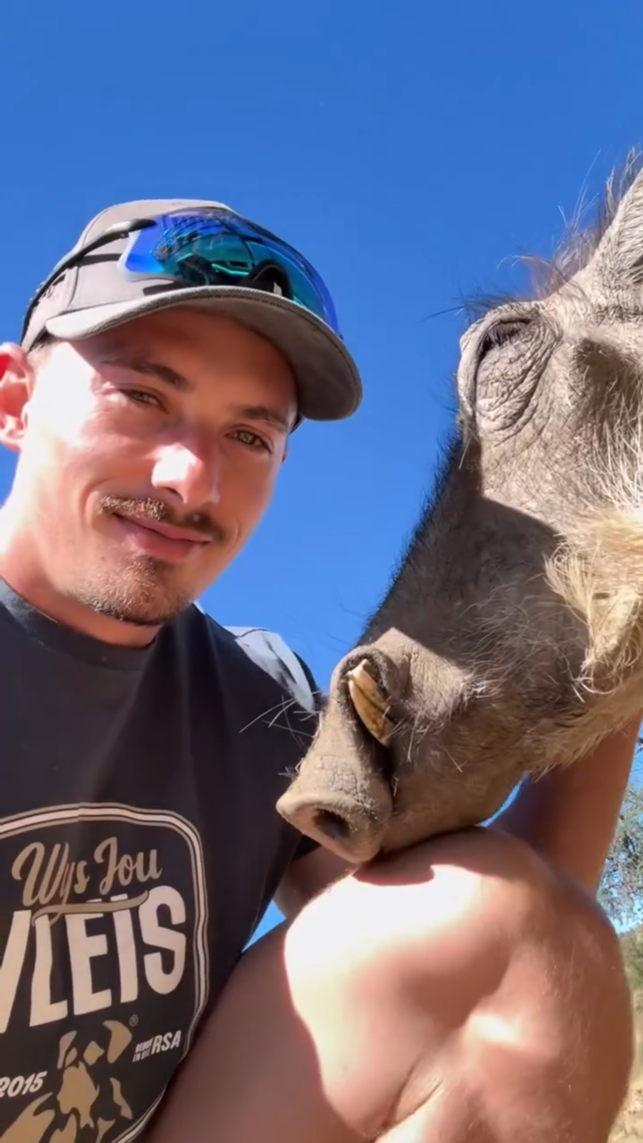 Unexpected animal friendship moment
