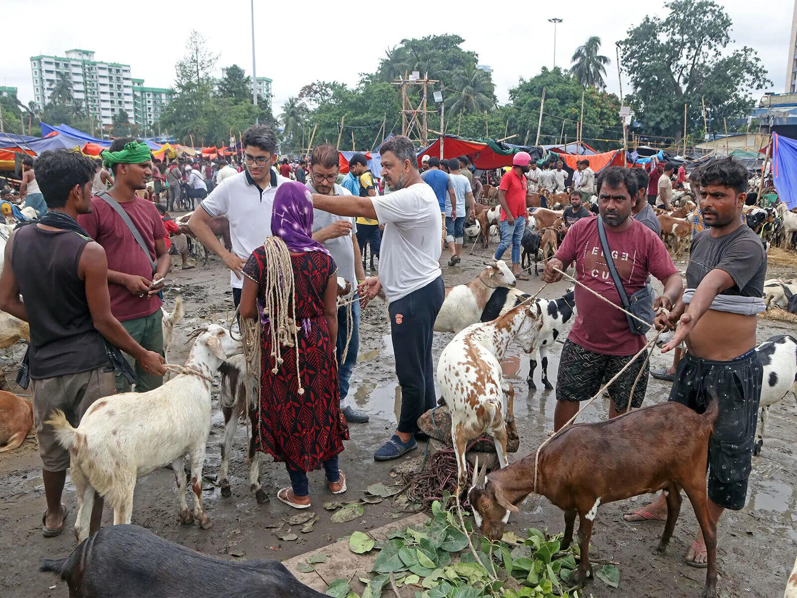 Bakrid Date in India 2026: Check Eid-Ul-Adha holiday date in Bangalore ...