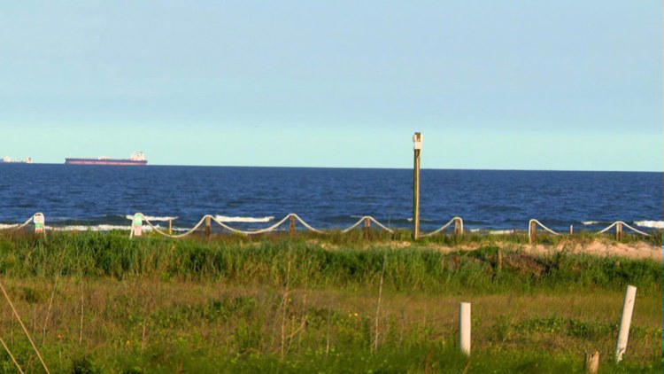 Teen bitten by shark off Galveston coast released from hospital