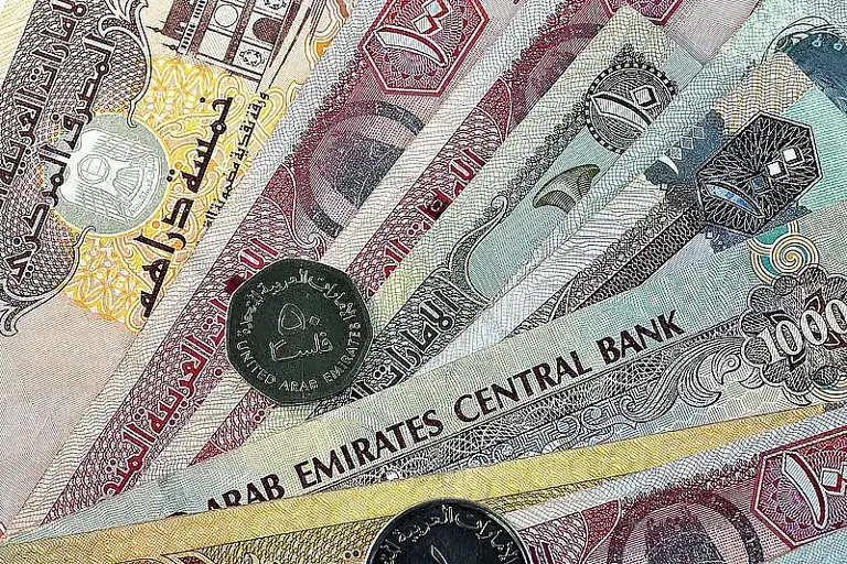 UAE waives off over Dh834-million interest on debts for low-income retirees