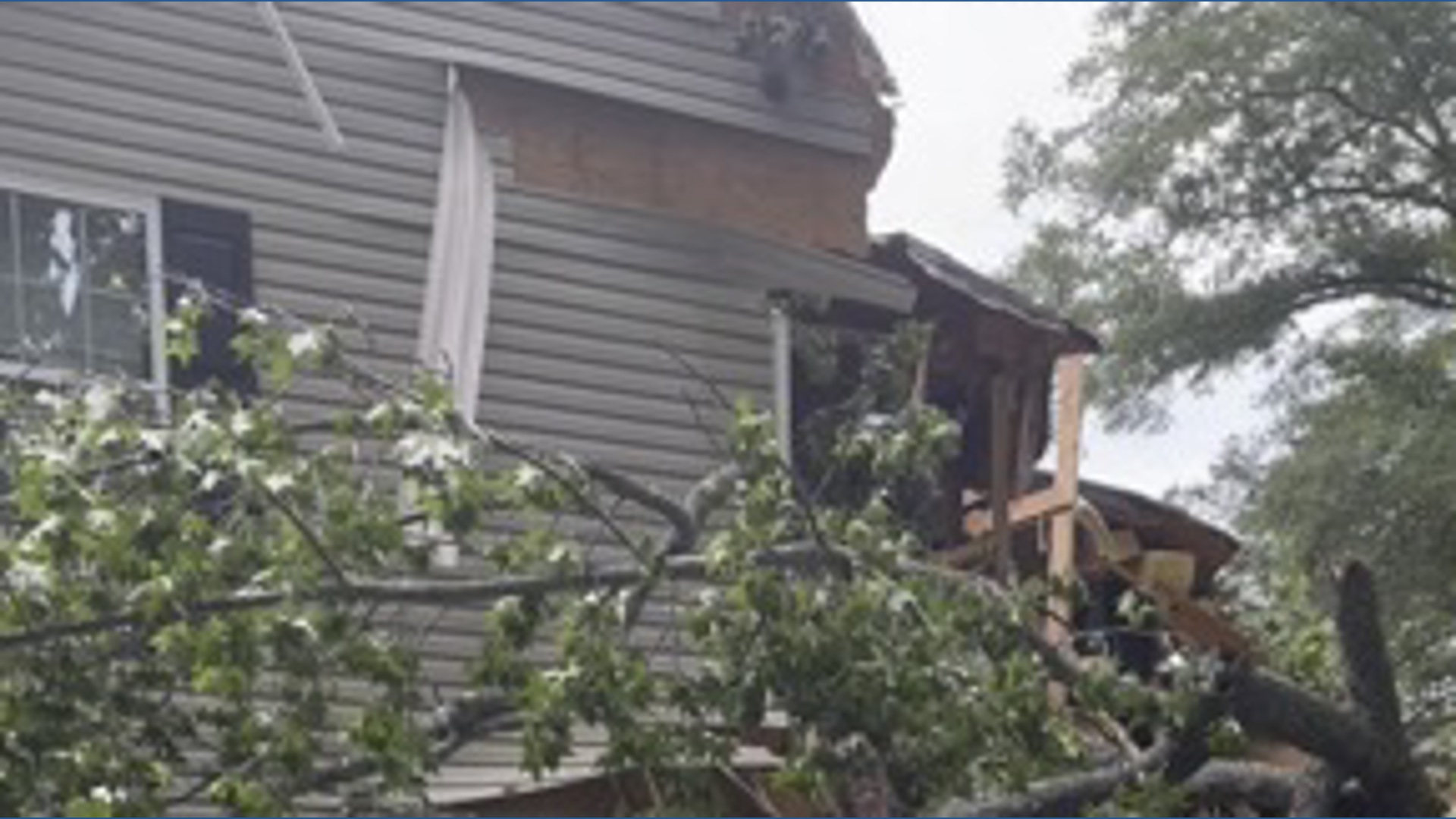 Tree falls on Monroe home, displacing family