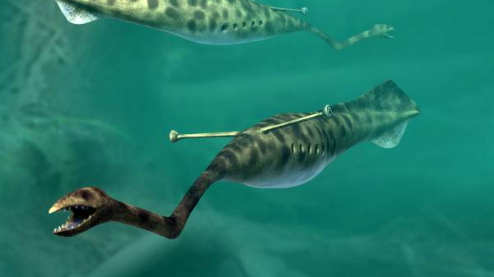 20 mysterious fossils that paleontologists still can't explain