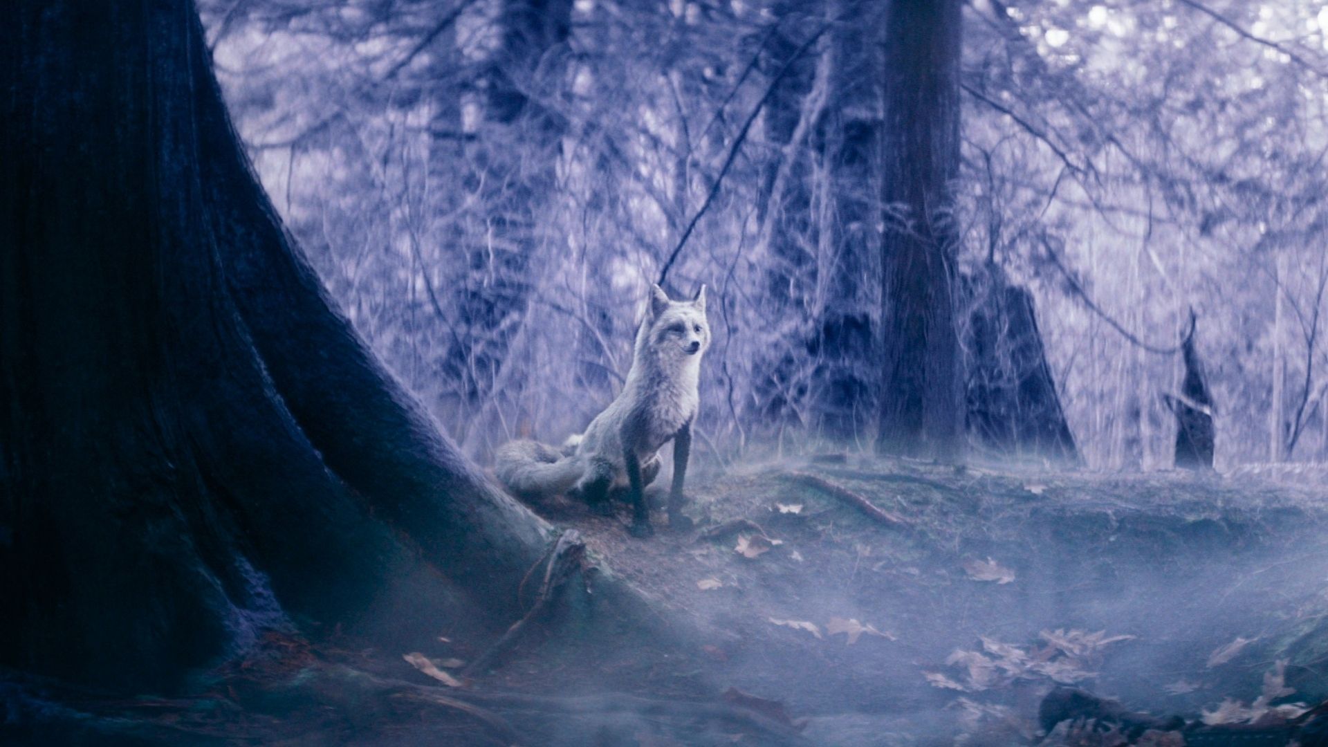 The greatest fantasy series returns next month with a divisive reboot