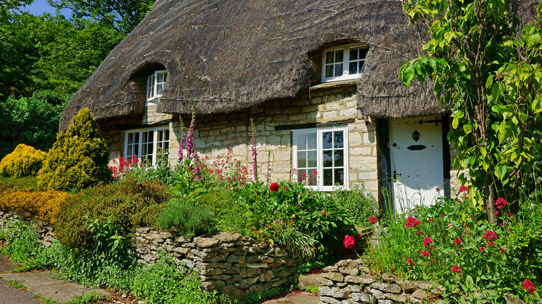15 plants perfect for an English cottage garden