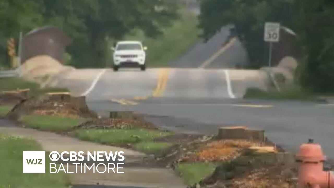 Baltimore County residents disappointed by cherry blossom tree removals