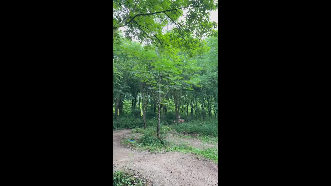 Woman falls off quad bike during muddy ride in Sichuan, China