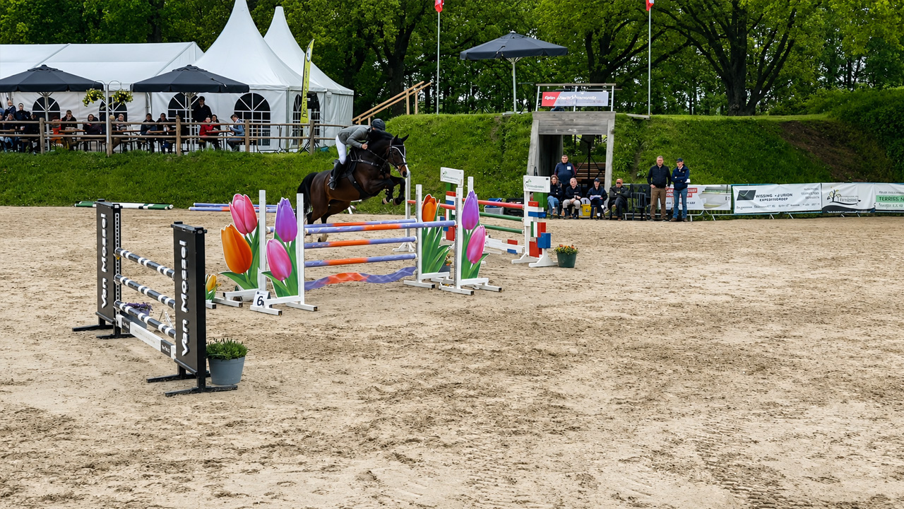 Jong paard overwint angst en springt 1,30 meter