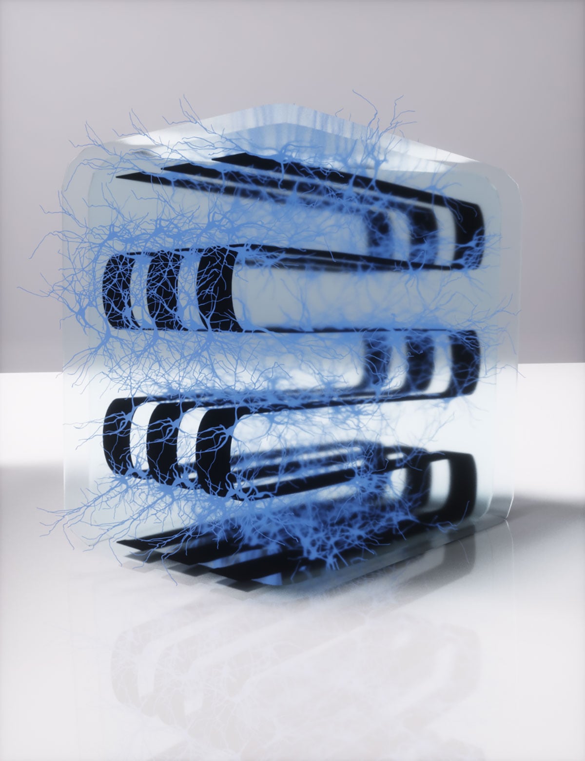 🧠 Here is the first living 3D neural network for AI