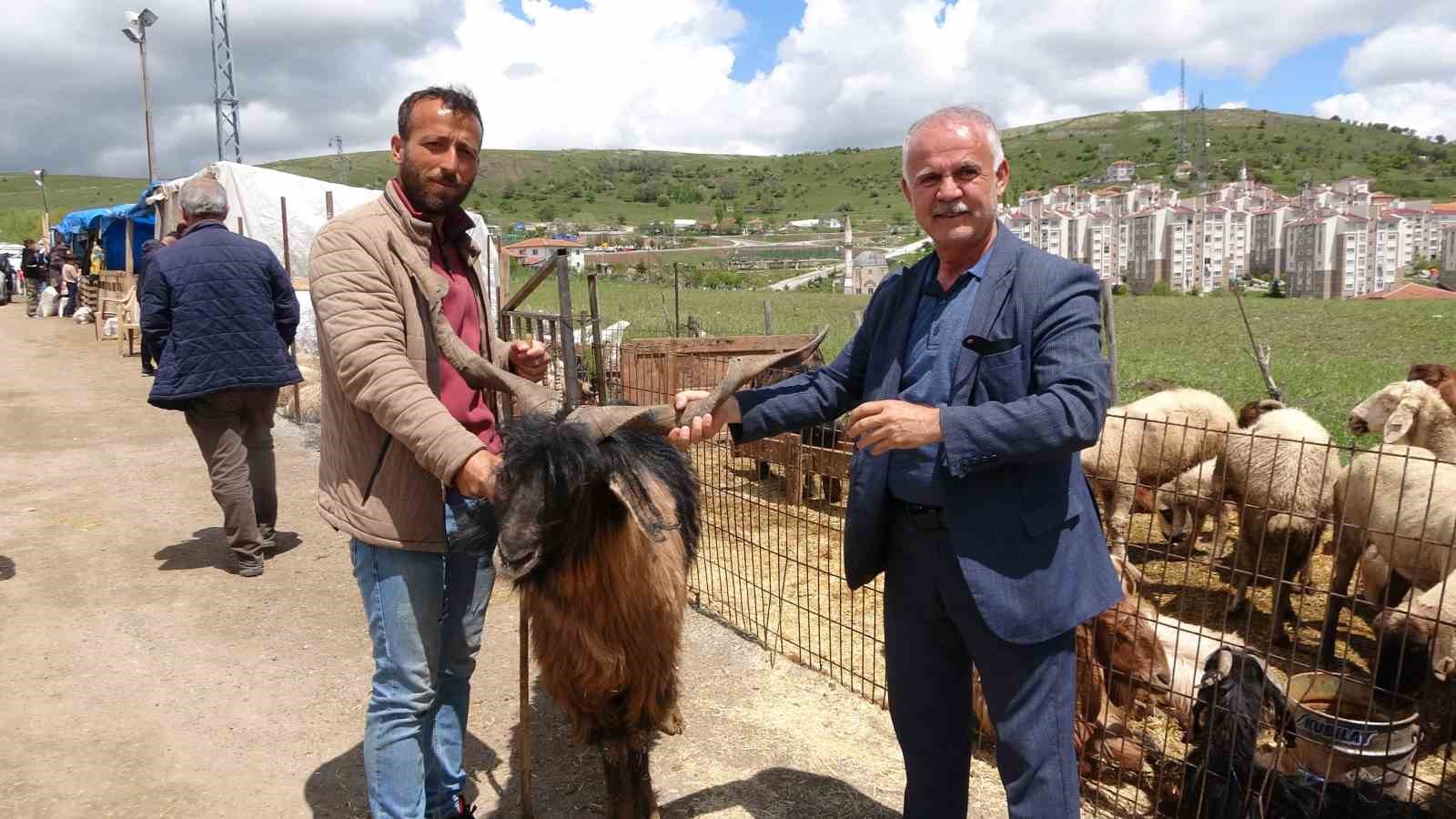 Yozgat hayvan pazarında kurbanlıklar alıcısını bekliyor