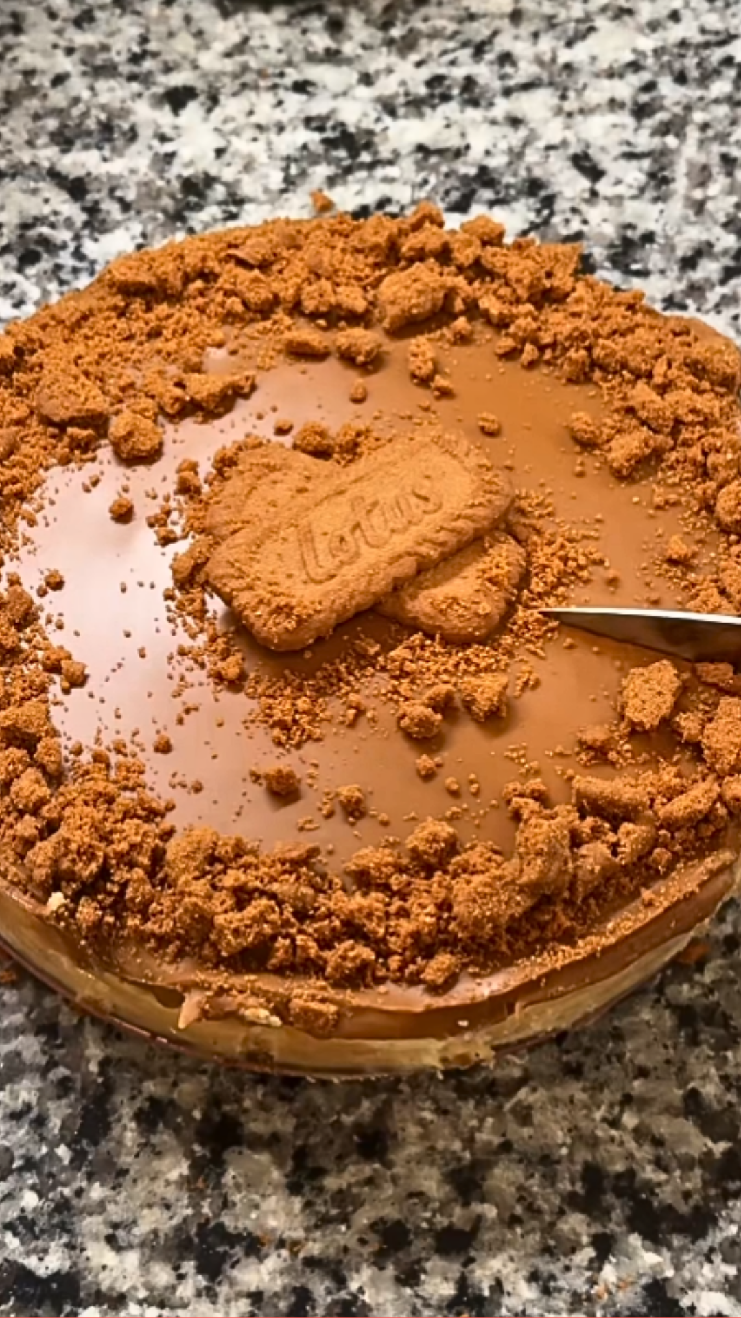 Vanilla bean Biscoff cheesecake creamy dessert recipe
