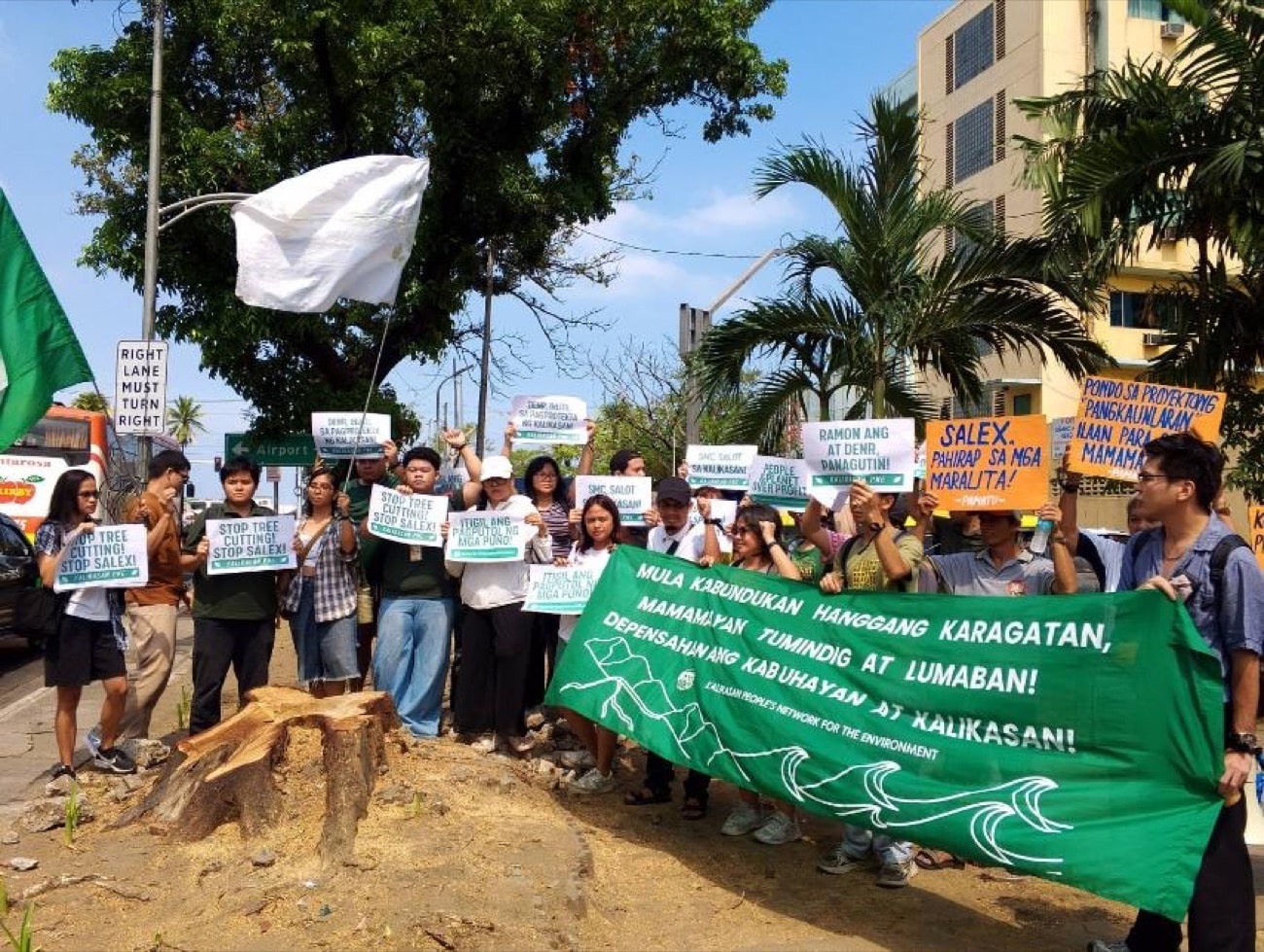 Groups decry cutting of decades-old trees for Manila expressway project