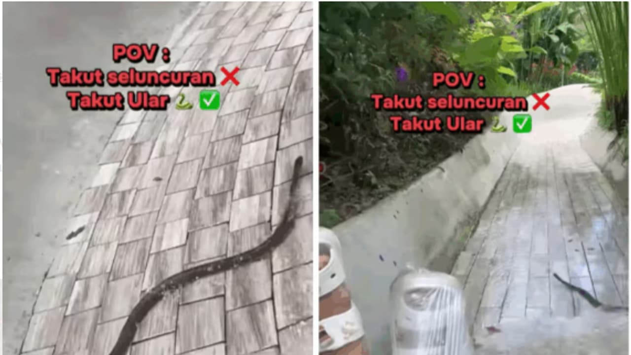 New fear unlocked: Snake on waterslide leaves woman panic-stricken in ...
