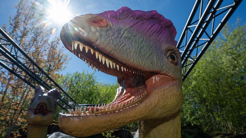 Study links T rex's tiny arms to powerful skull evolution