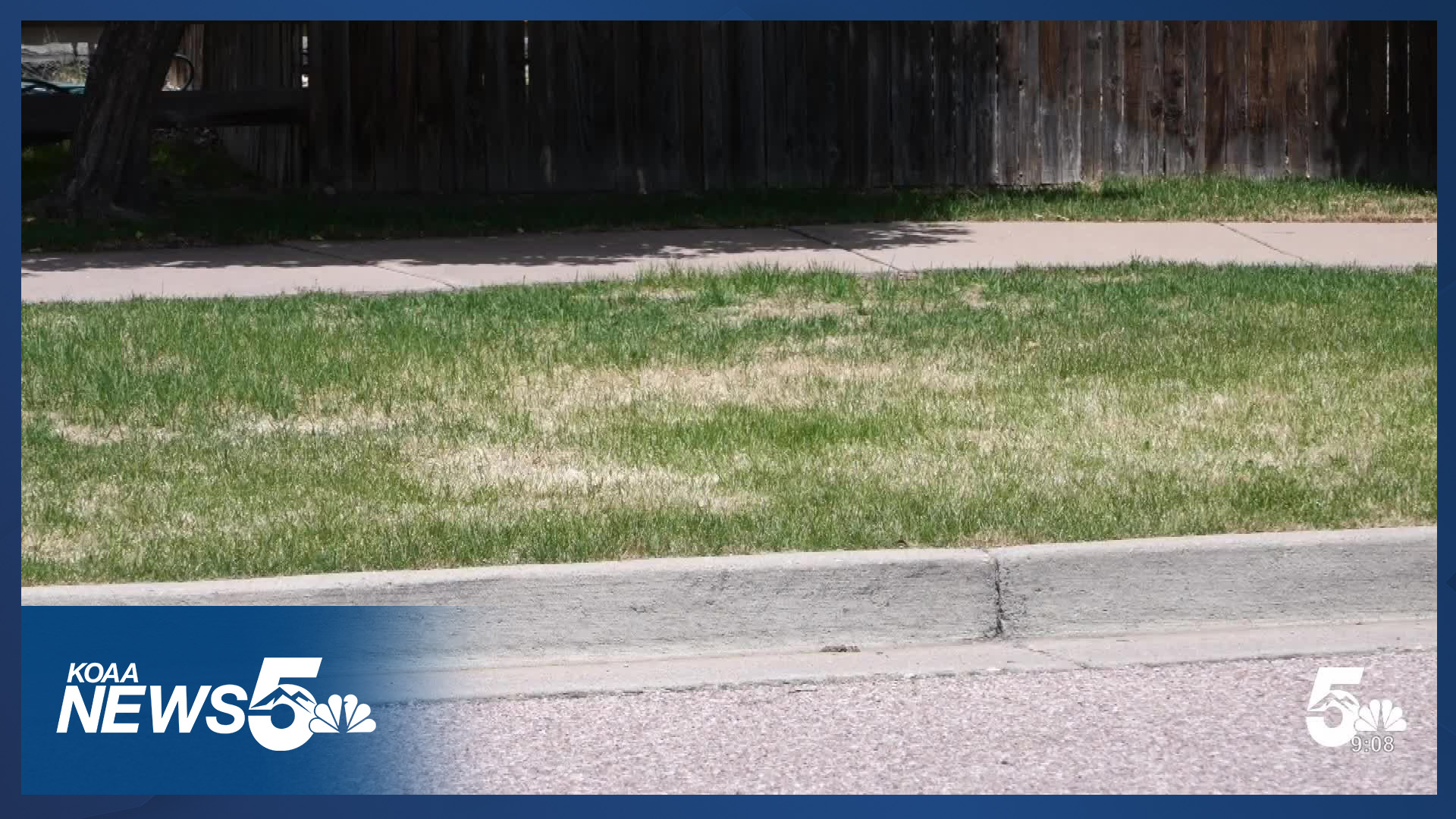 Stetson Hills Ridgeview HOA sends spring lawn maintenance reminders